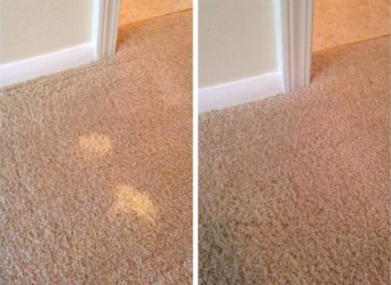 Carpet Stain Removal Services in Central Florida | Brilliant Color ...